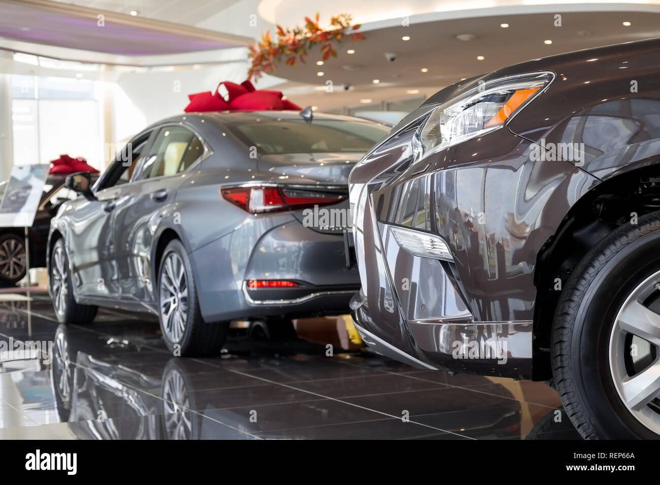 Car auto dealership. New cars at dealer showroom. Prestigious vehicles ...