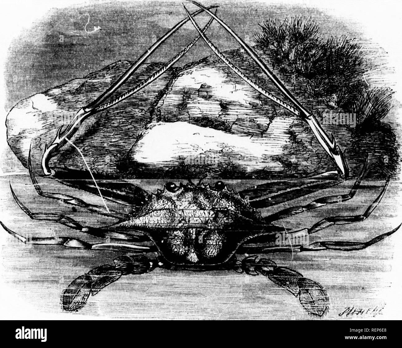 Vpa Black and White Stock Photos & Images - Alamy