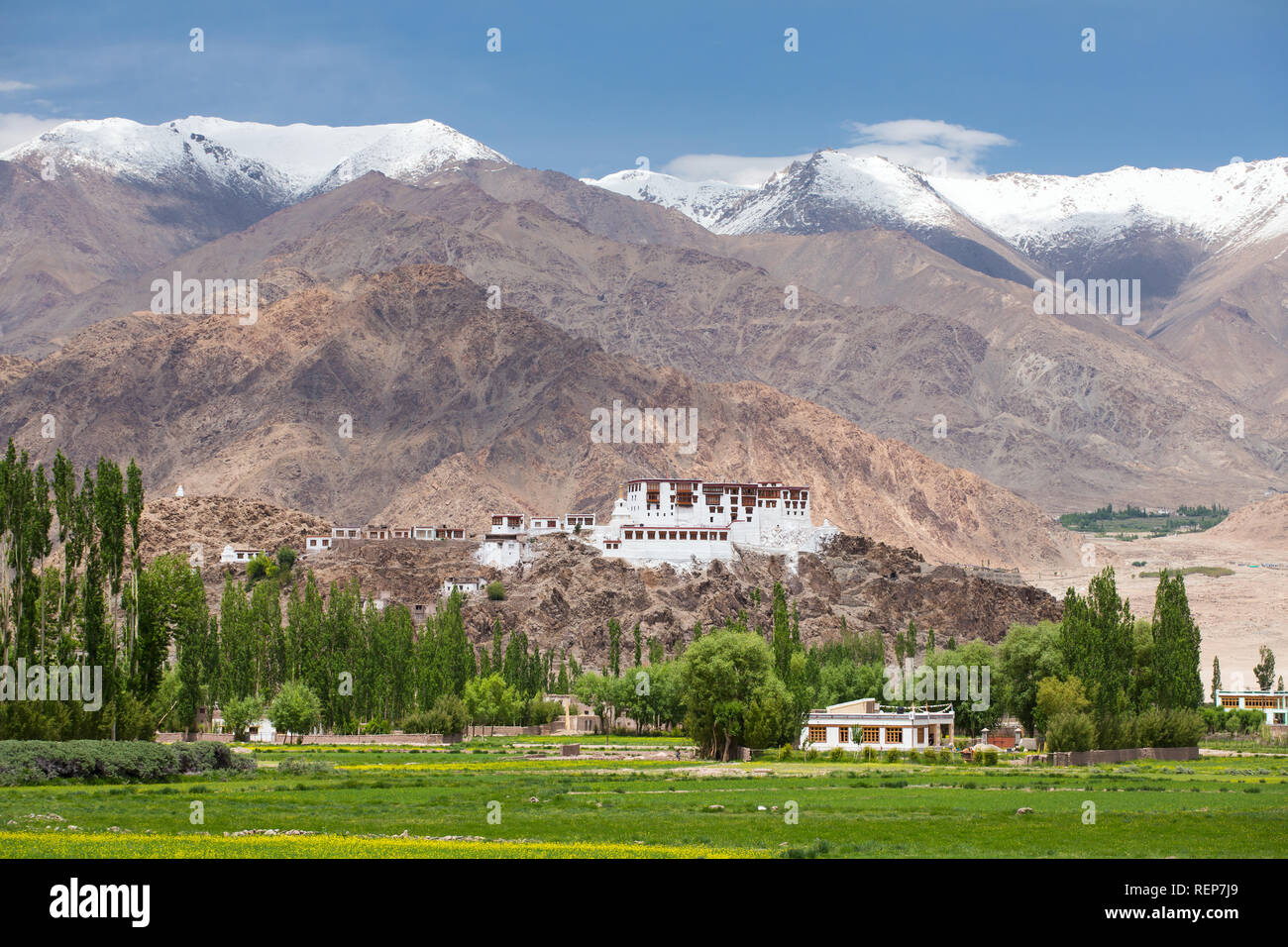 Stakna gompa temple ( buddhist monastery ) with a view of Himalaya ...