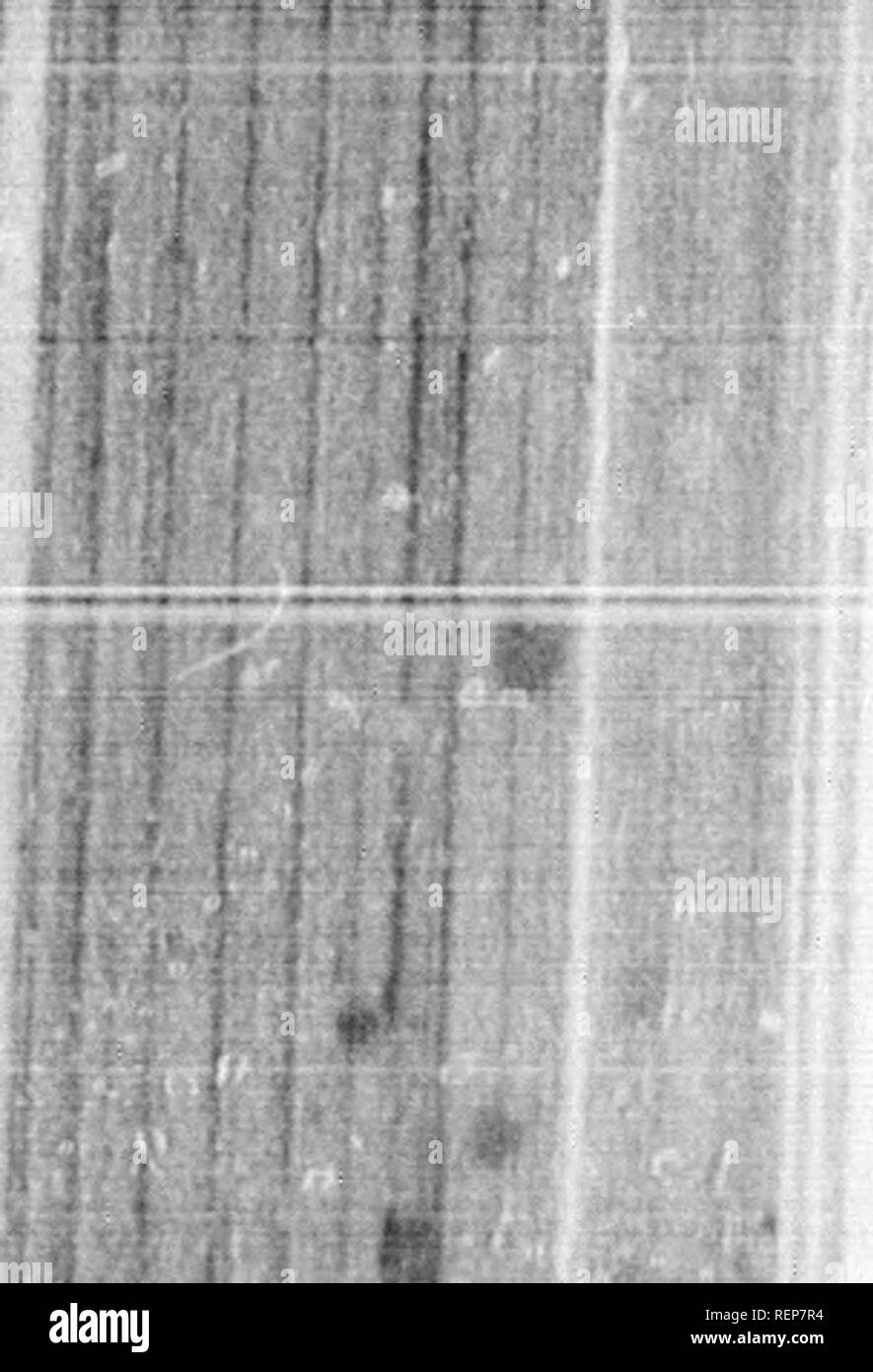 . Ornithology and oölogy of New England [microform] : containing full ...