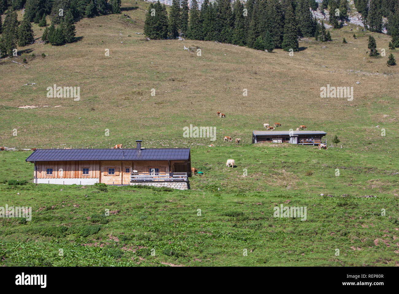 Scene in the Alps Stock Photo - Alamy