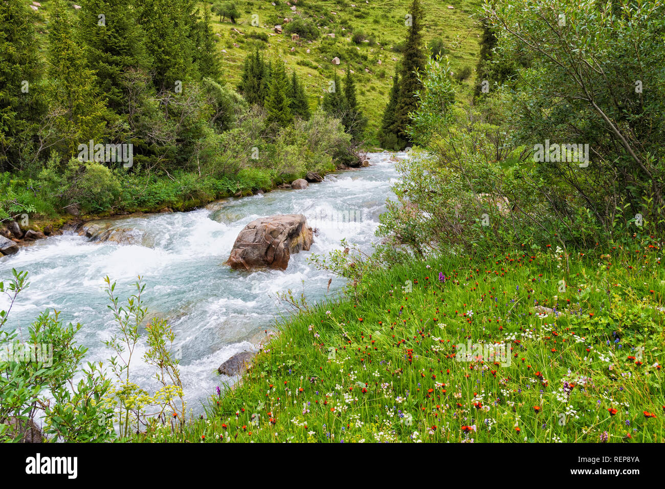 Aksu river hi-res stock photography and images - Alamy