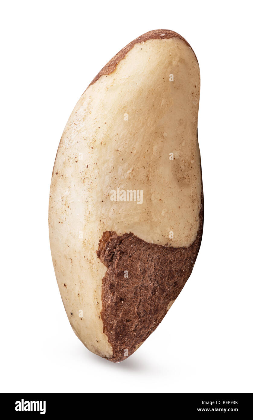 Brazil nut isolated on white background. Clipping path Stock Photo - Alamy