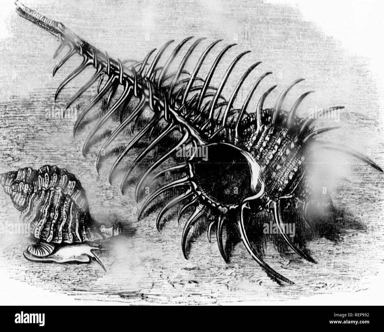 Dit me may Black and White Stock Photos & Images - Alamy