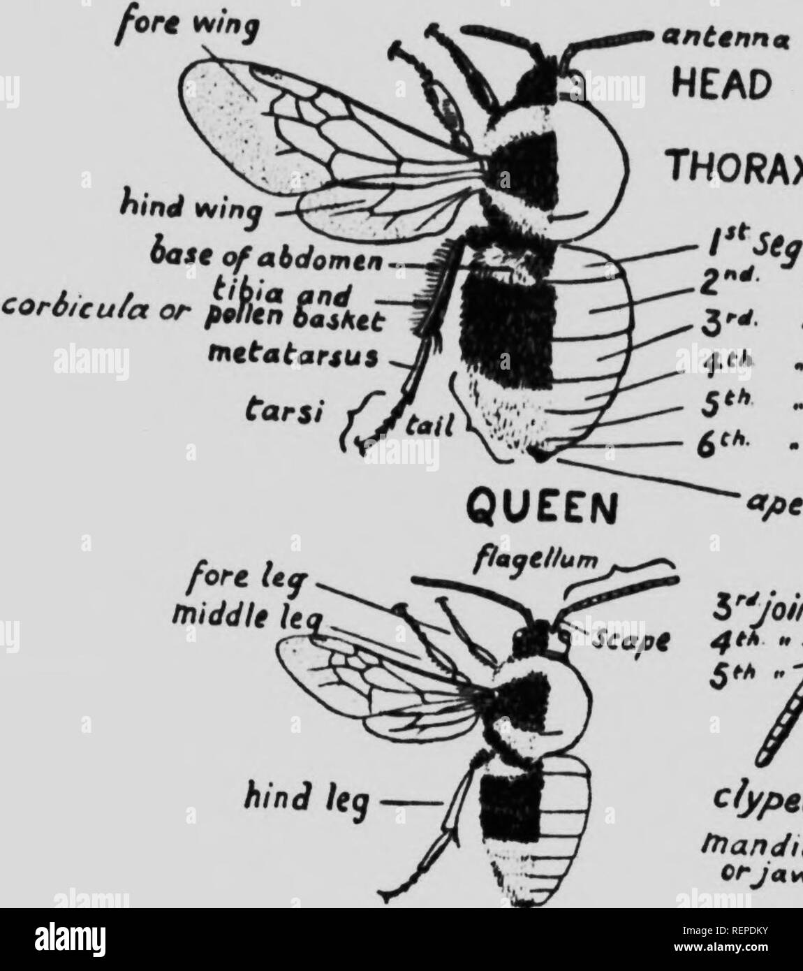 145 aw Black and White Stock Photos & Images - Alamy