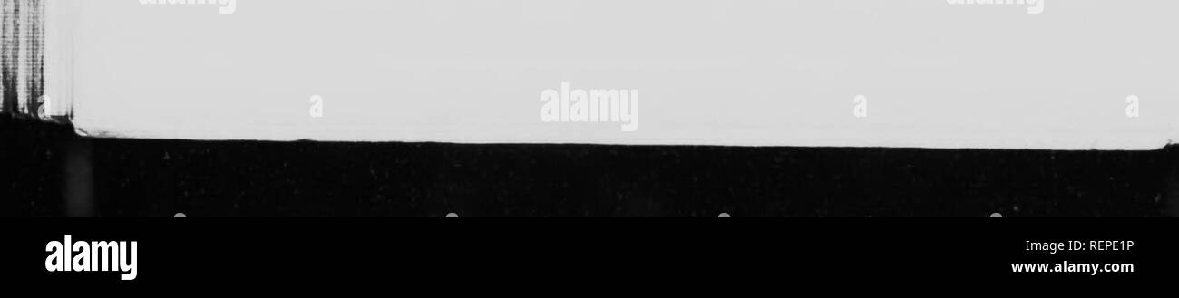 Time scarcity Black and White Stock Photos & Images - Alamy