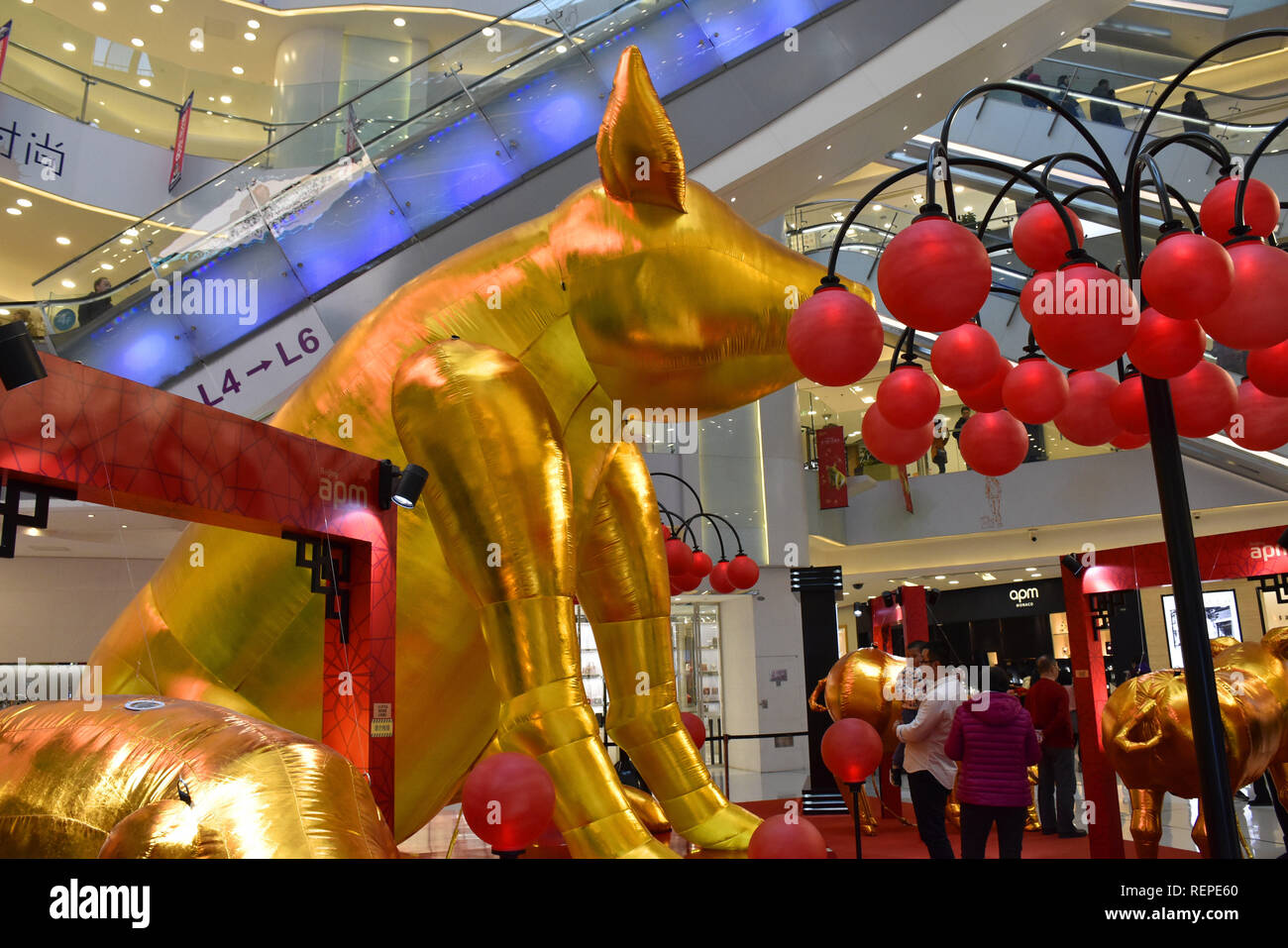 One thousand and eight golden inflatable air pigs designed by ...