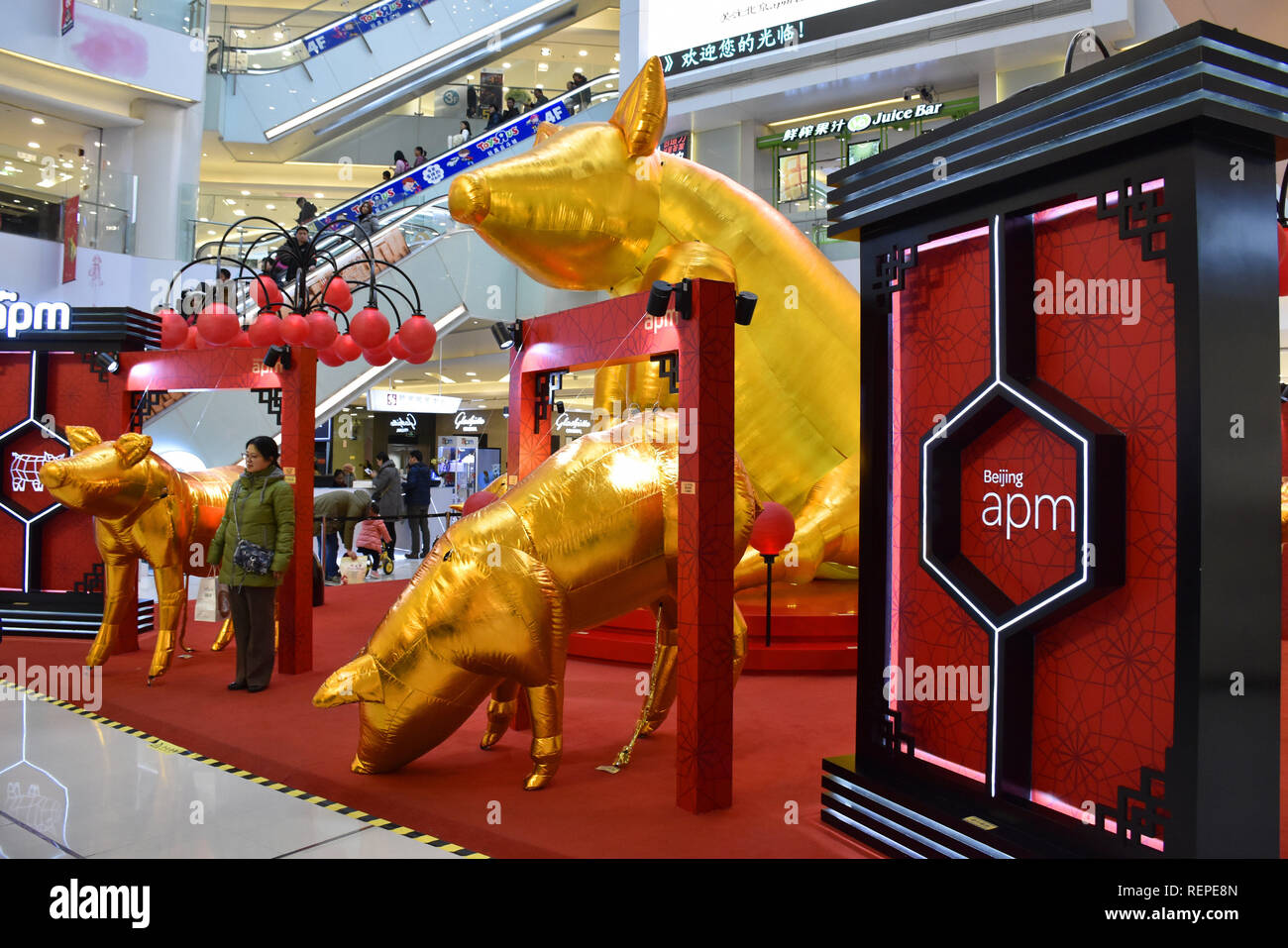 One thousand and eight golden inflatable air pigs designed by ...