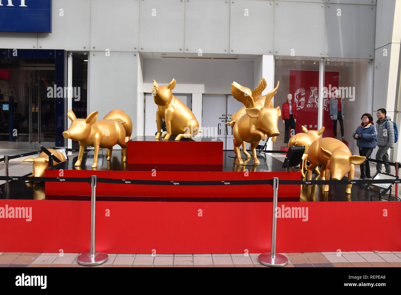 One thousand and eight golden inflatable air pigs designed by ...
