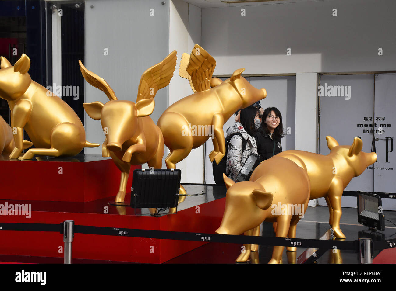 One thousand and eight golden inflatable air pigs designed by ...