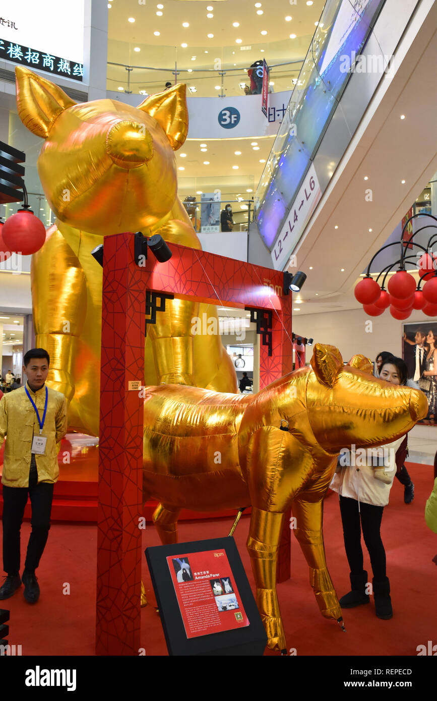One thousand and eight golden inflatable air pigs designed by ...