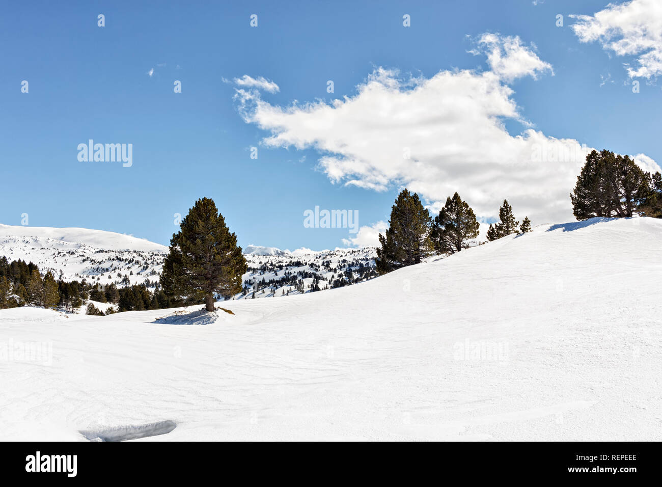 snowy landscape in the north of spain Stock Photo - Alamy