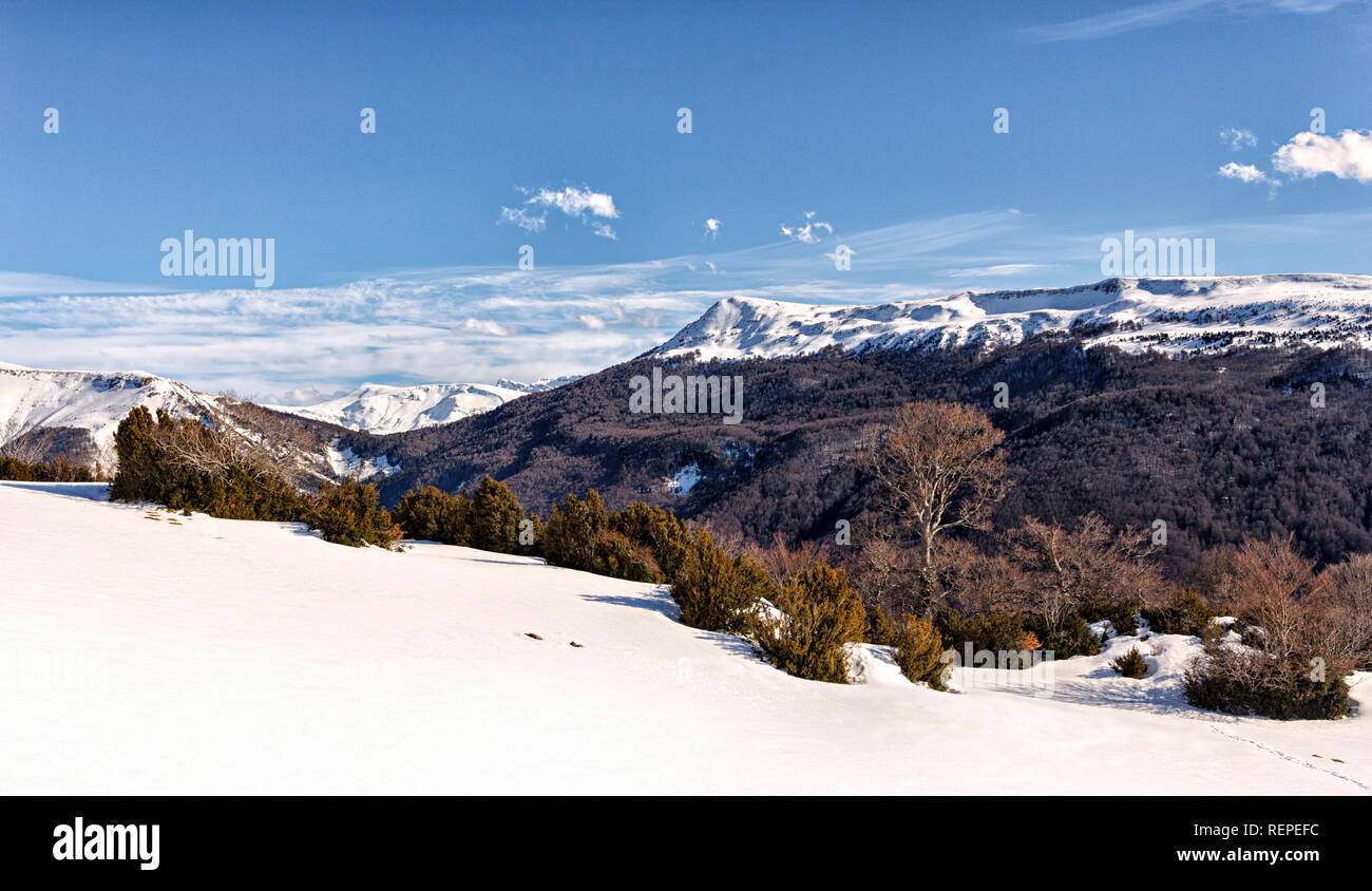 árbol invierno hi-res stock photography and images - Alamy