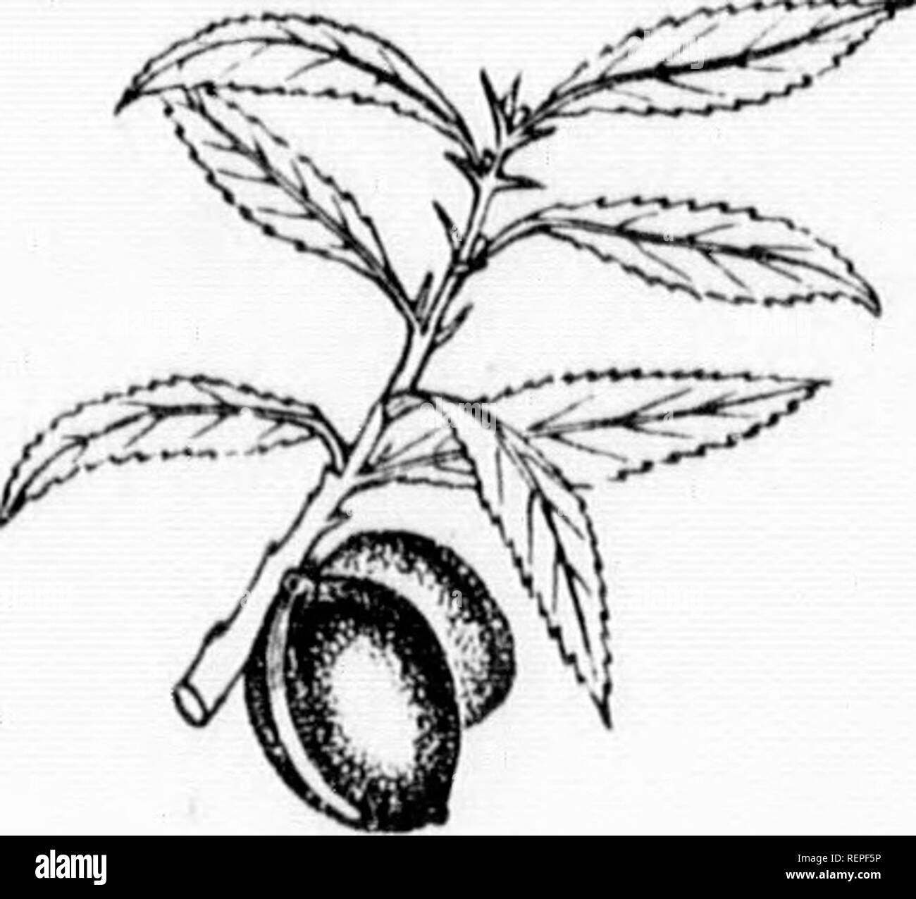 Furrows o Black and White Stock Photos & Images - Alamy