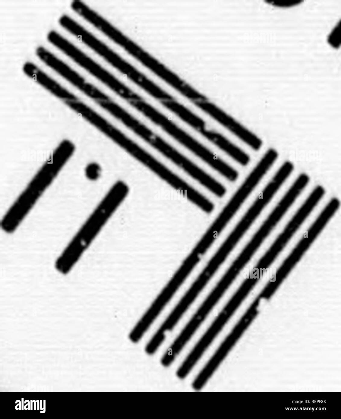 Main street from commercial Black and White Stock Photos & Images - Alamy