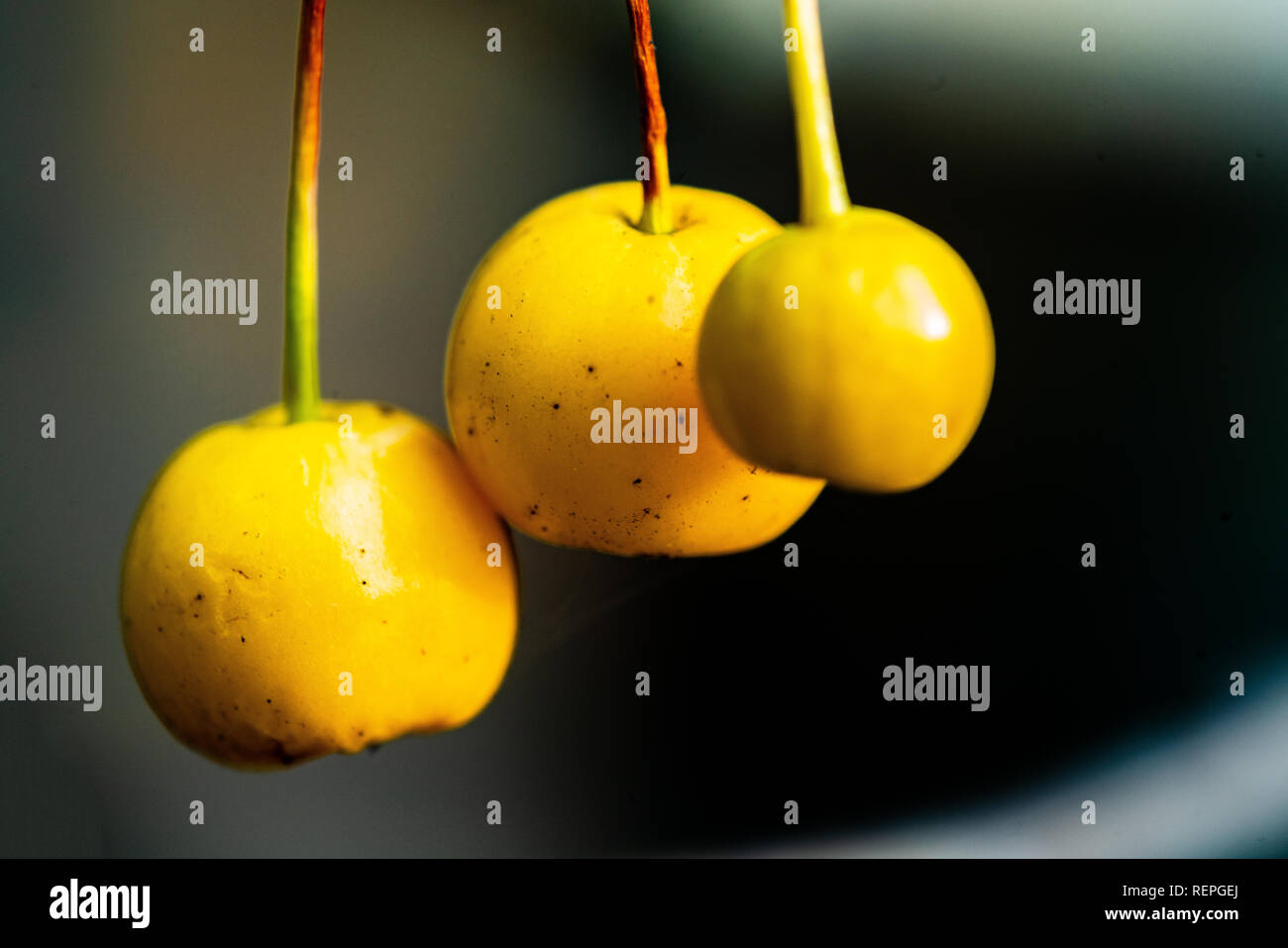 Macro berries hi-res stock photography and images - Alamy
