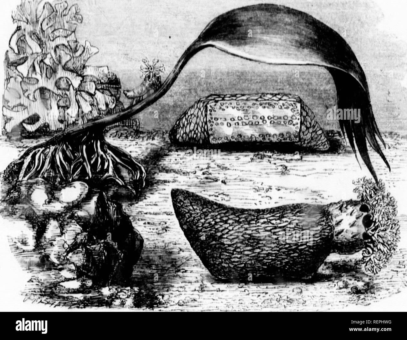 Ivtc Black and White Stock Photos & Images - Alamy