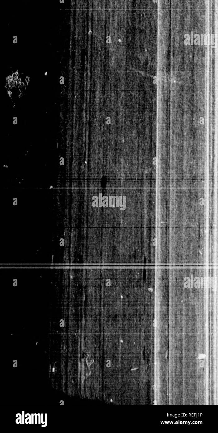 Pieli hi-res stock photography and images - Alamy