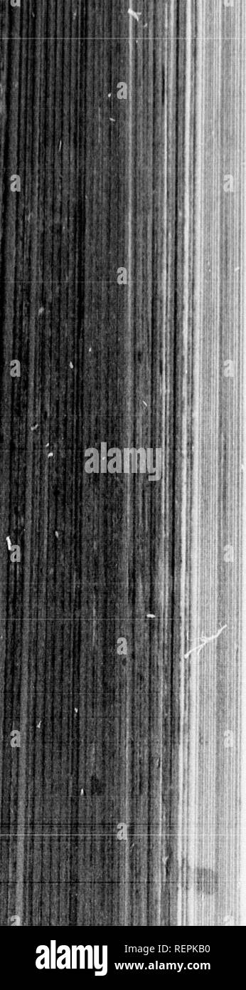 Classification hut Black and White Stock Photos & Images - Alamy