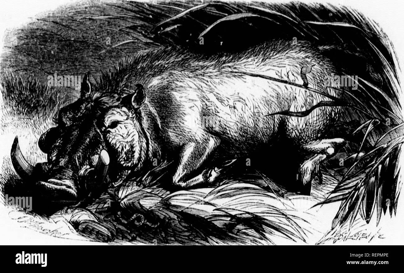 Gordon sharp hi-res stock photography and images - Alamy