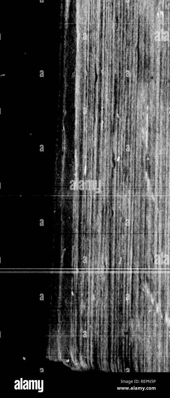 . Travels into North America [microform] : containing its natural ...