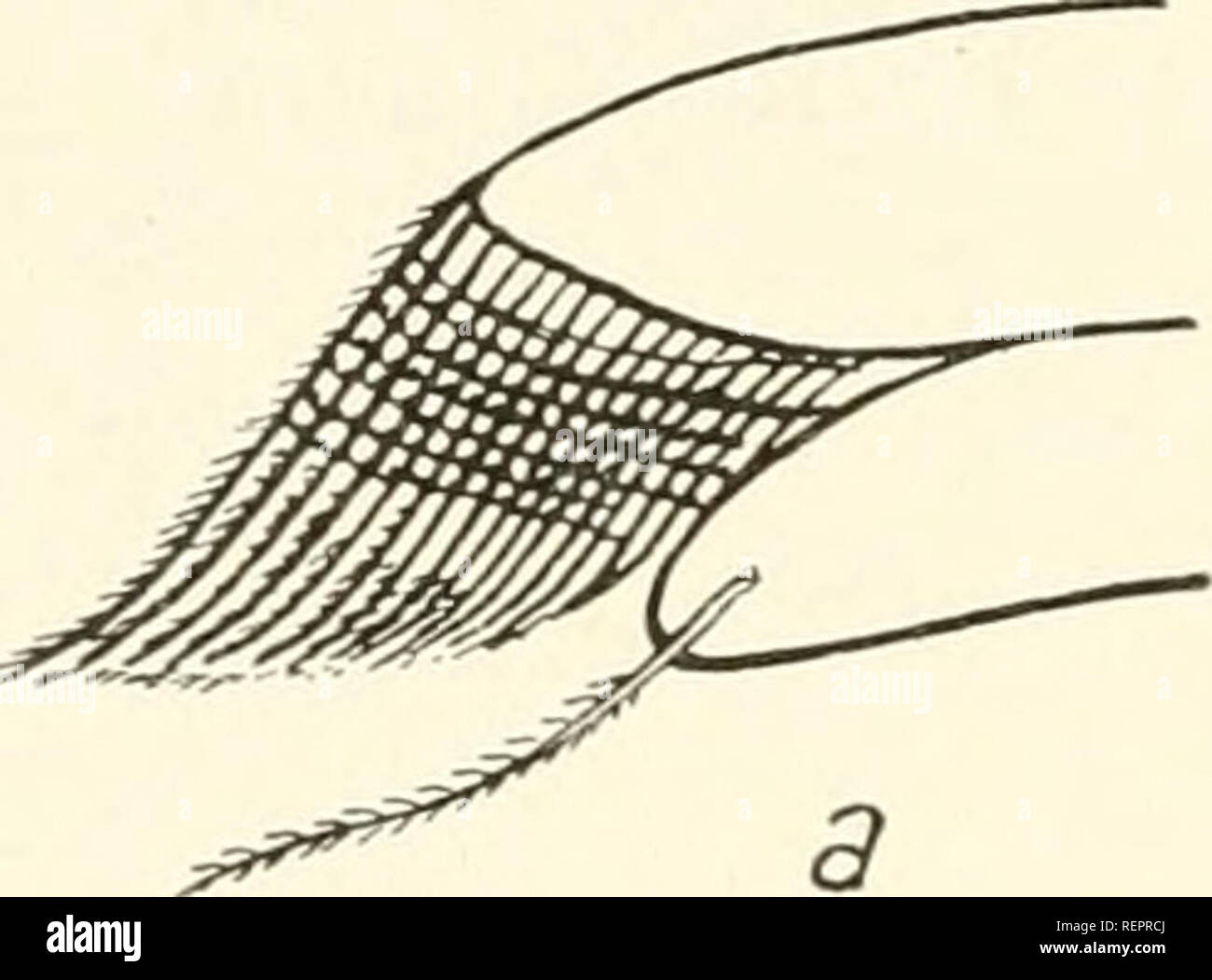 Komplex gebaut hi-res stock photography and images - Alamy