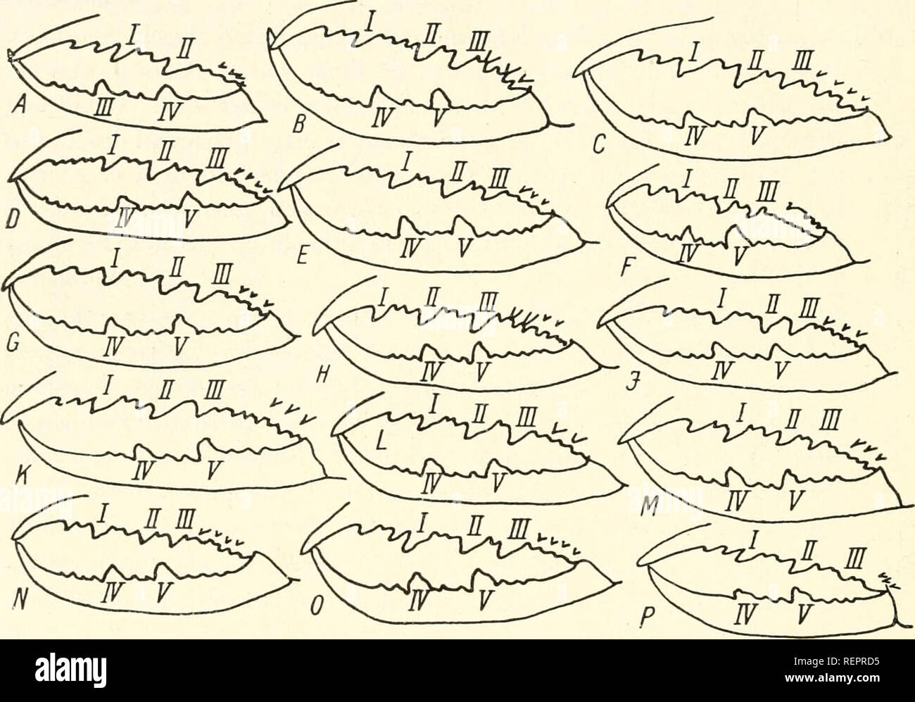 K 12 bild hi-res stock photography and images - Alamy