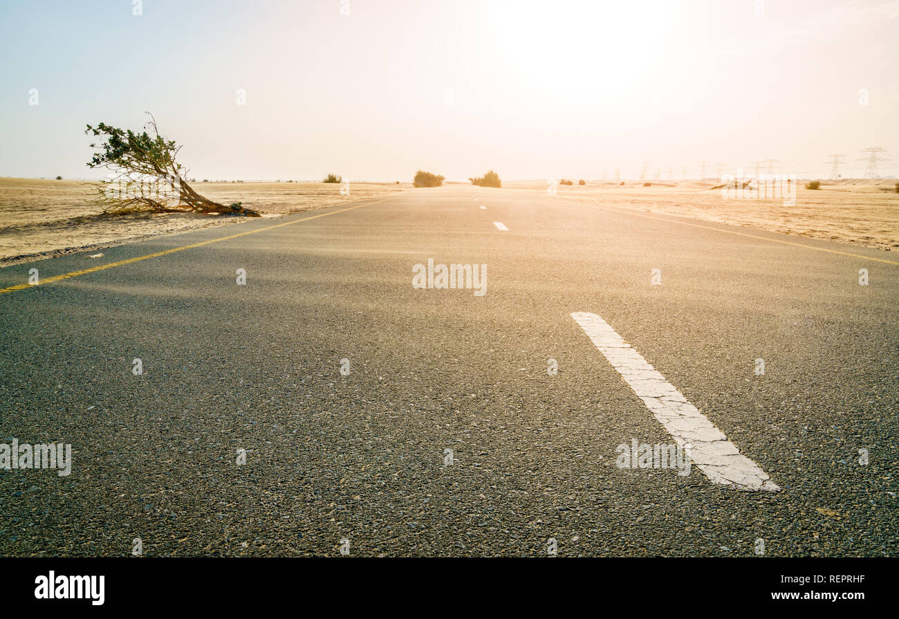 Desert pavement arab hi-res stock photography and images - Alamy