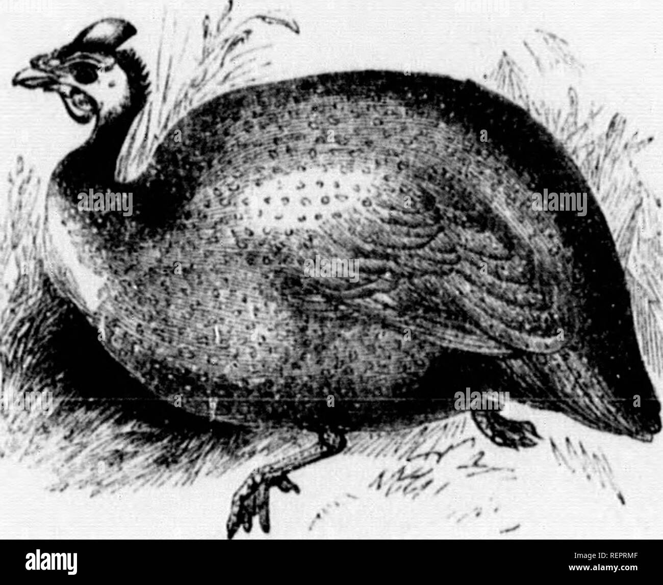 Fall headlong hi-res stock photography and images - Alamy