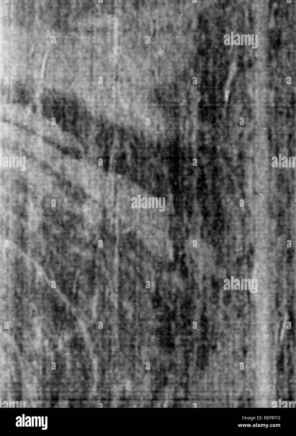 Strang steel Black and White Stock Photos & Images - Alamy