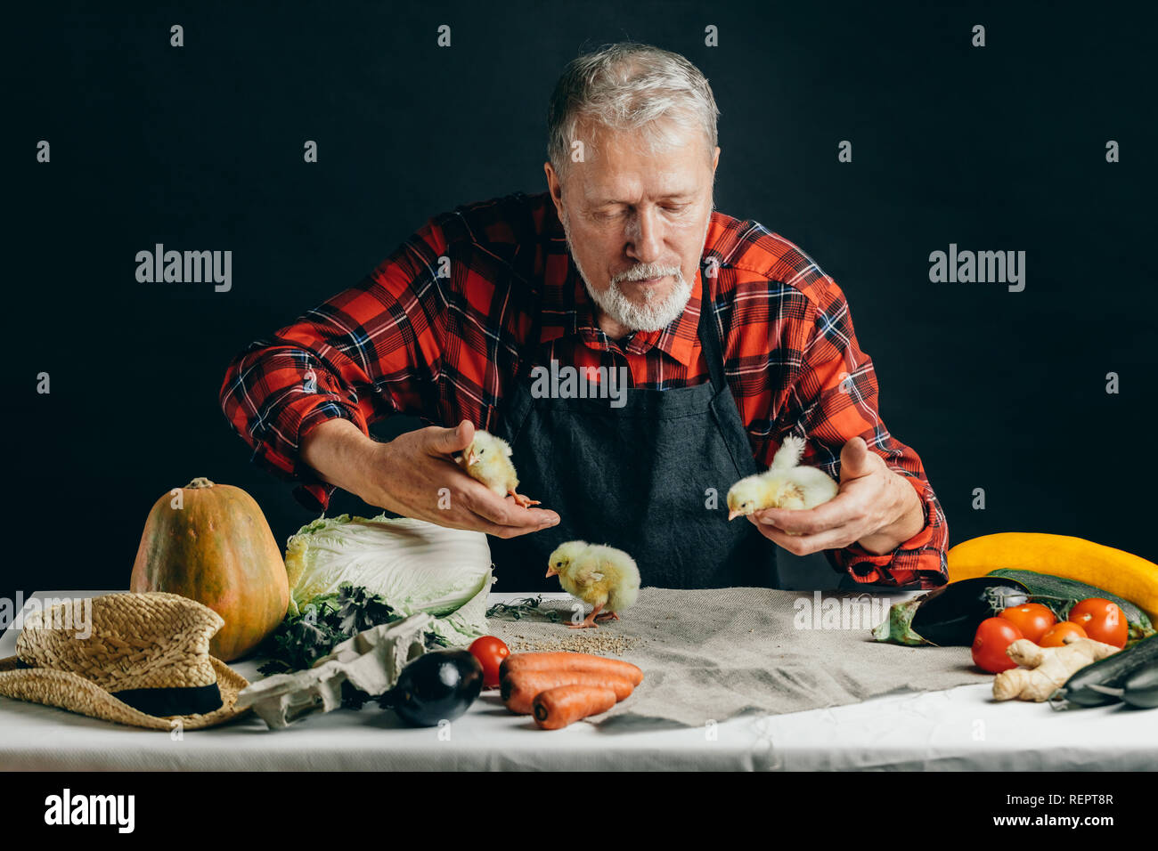 Having chicks hi-res stock photography and images - Alamy