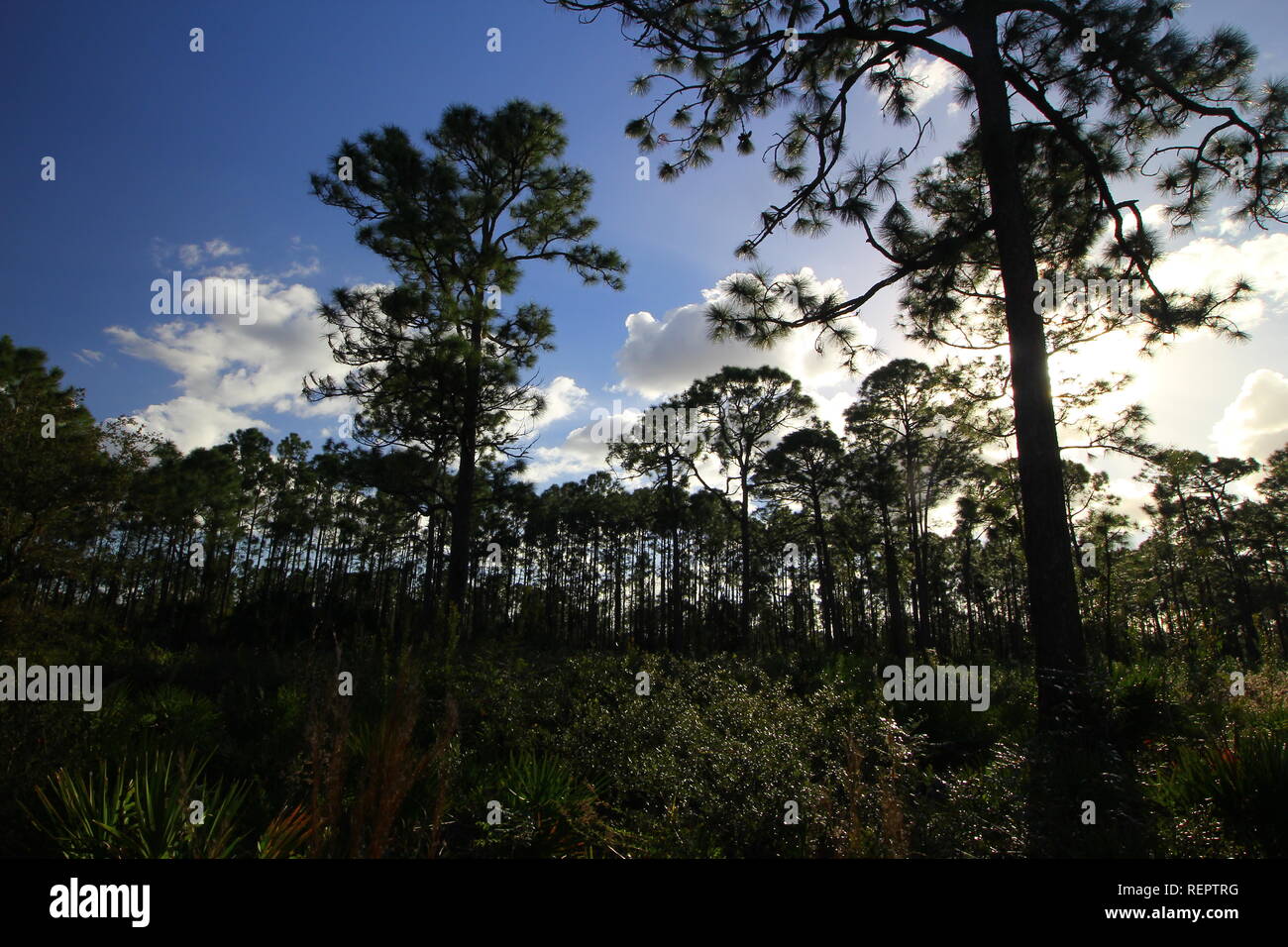 Oxbow eco center hi-res stock photography and images - Alamy
