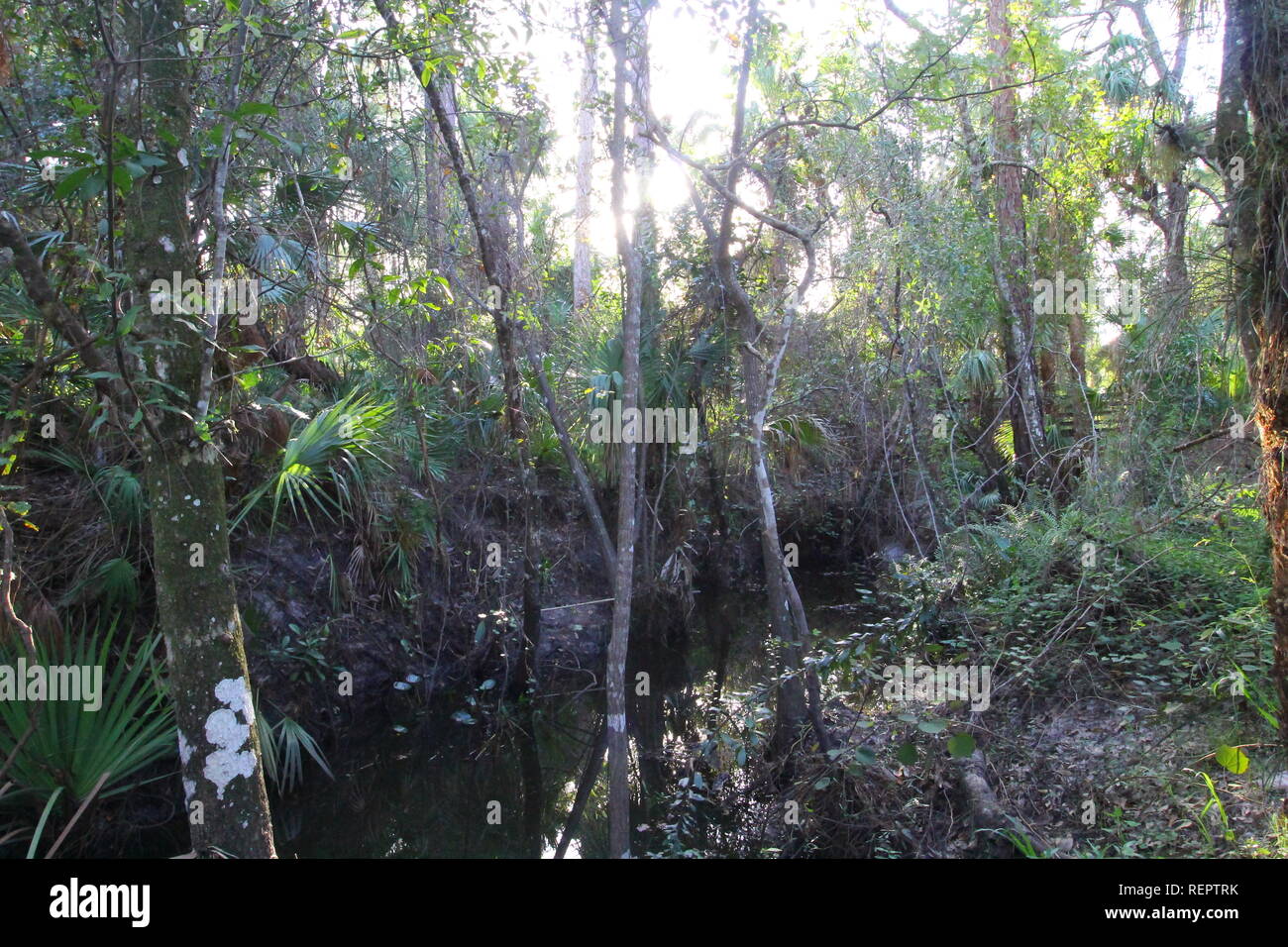 Oxbow eco center hi-res stock photography and images - Alamy