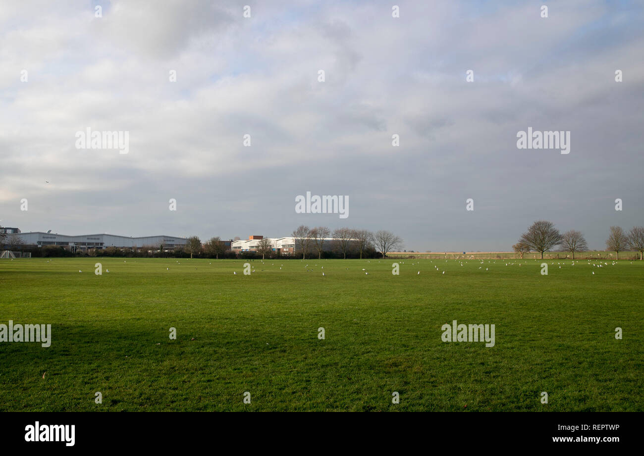 Blunts avenue hi-res stock photography and images - Alamy