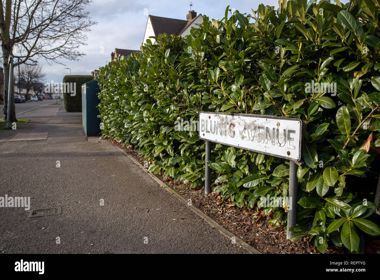 Blunts avenue hi-res stock photography and images - Alamy