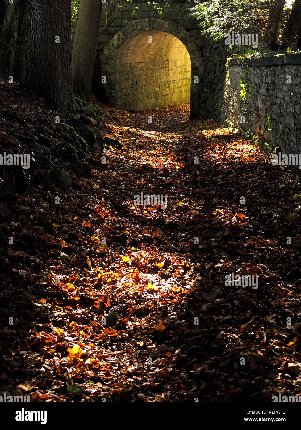 golden Autumn sunshine filters through stone archway with fallen leaves ...