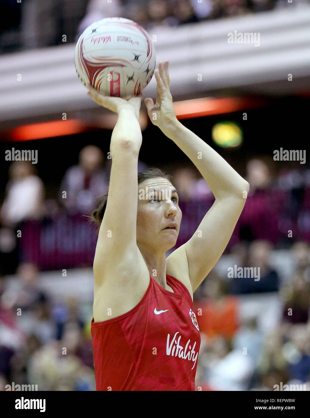England Vitality Roses Rachel Dunn Stock Photo - Alamy