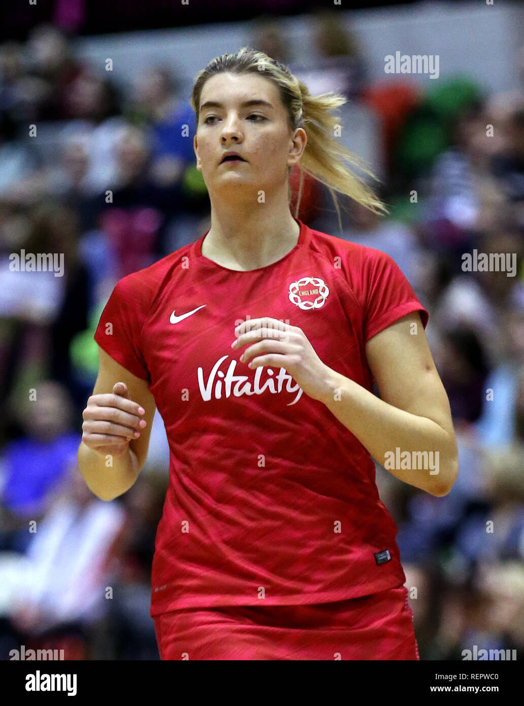 England Vitality Roses Francesca Williams Stock Photo - Alamy