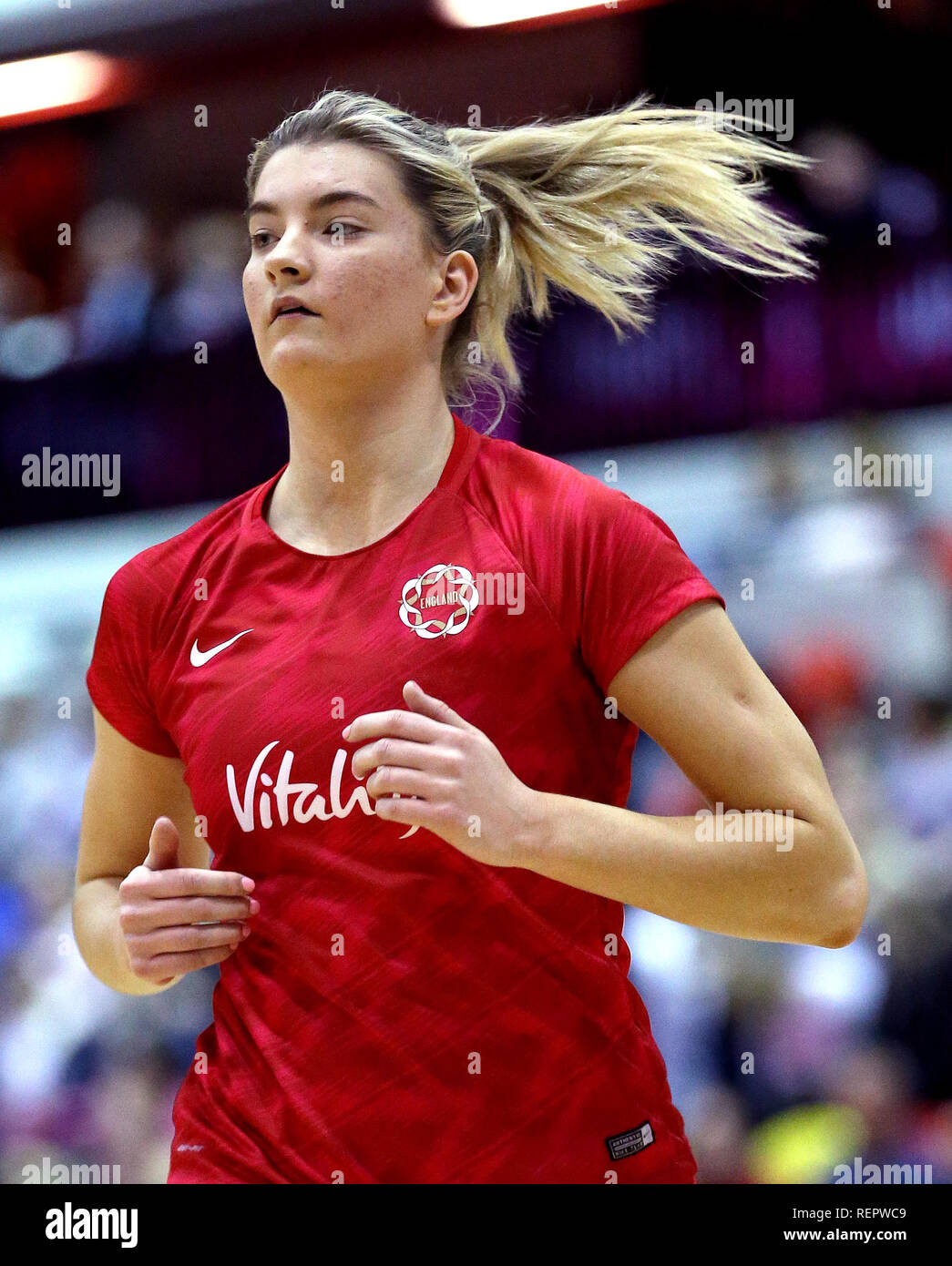 England Vitality Roses Francesca Williams Stock Photo - Alamy