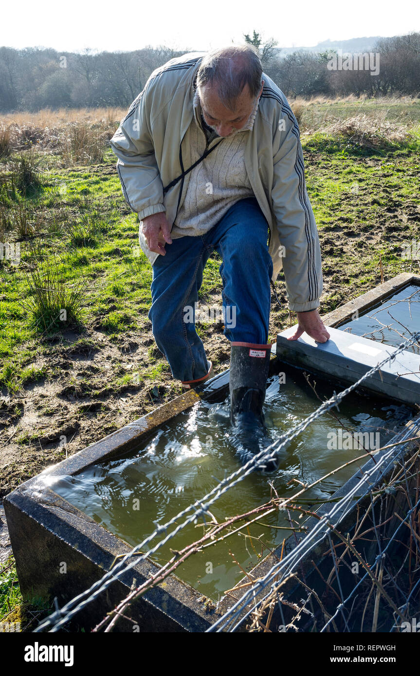 Walker washing his wellington boots in a cattle trough in Andrews Wood ...