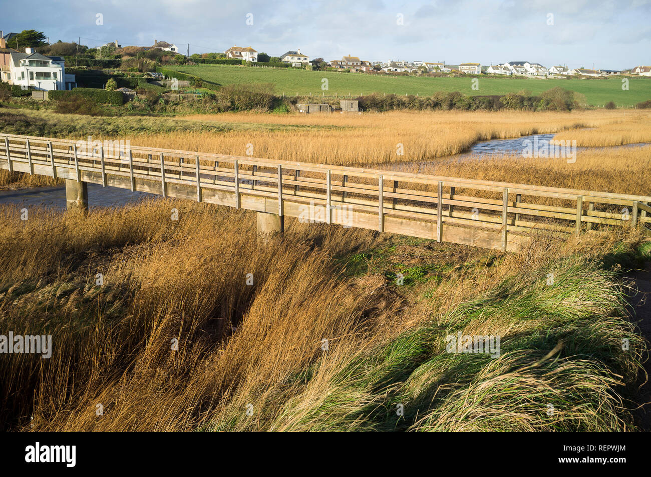 Wooden footbridge over the tidal inlet of reedbeds in Mill Valley ...