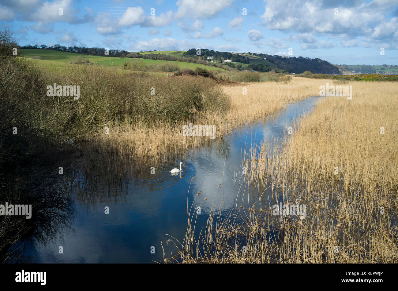 Slapton ley hi-res stock photography and images - Alamy