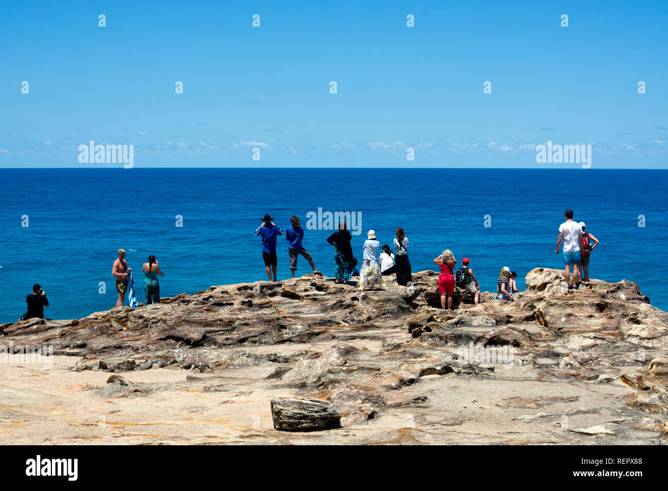 People at North Gorge Walk looking for dolphins, Point Lookout, North ...