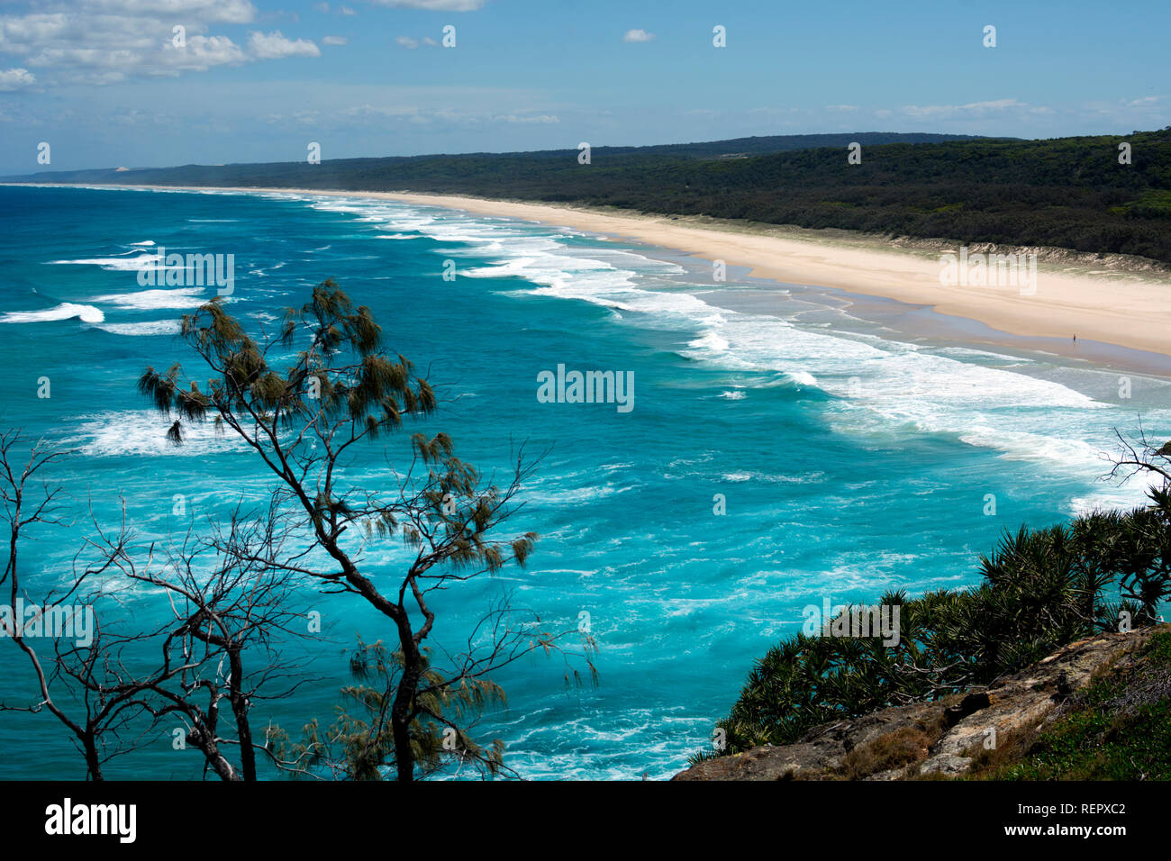 View of Main Beach from North Gorge Walk, Point Lookout, North ...
