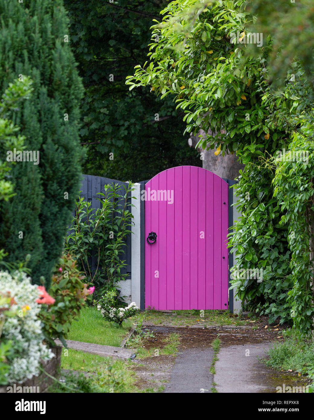 A pink painted wooden garden gate Stock Photo - Alamy