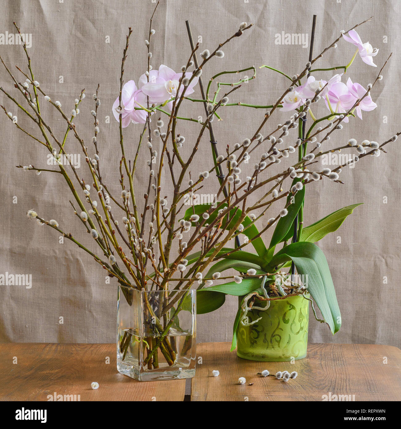Spring still life hi-res stock photography and images - Alamy