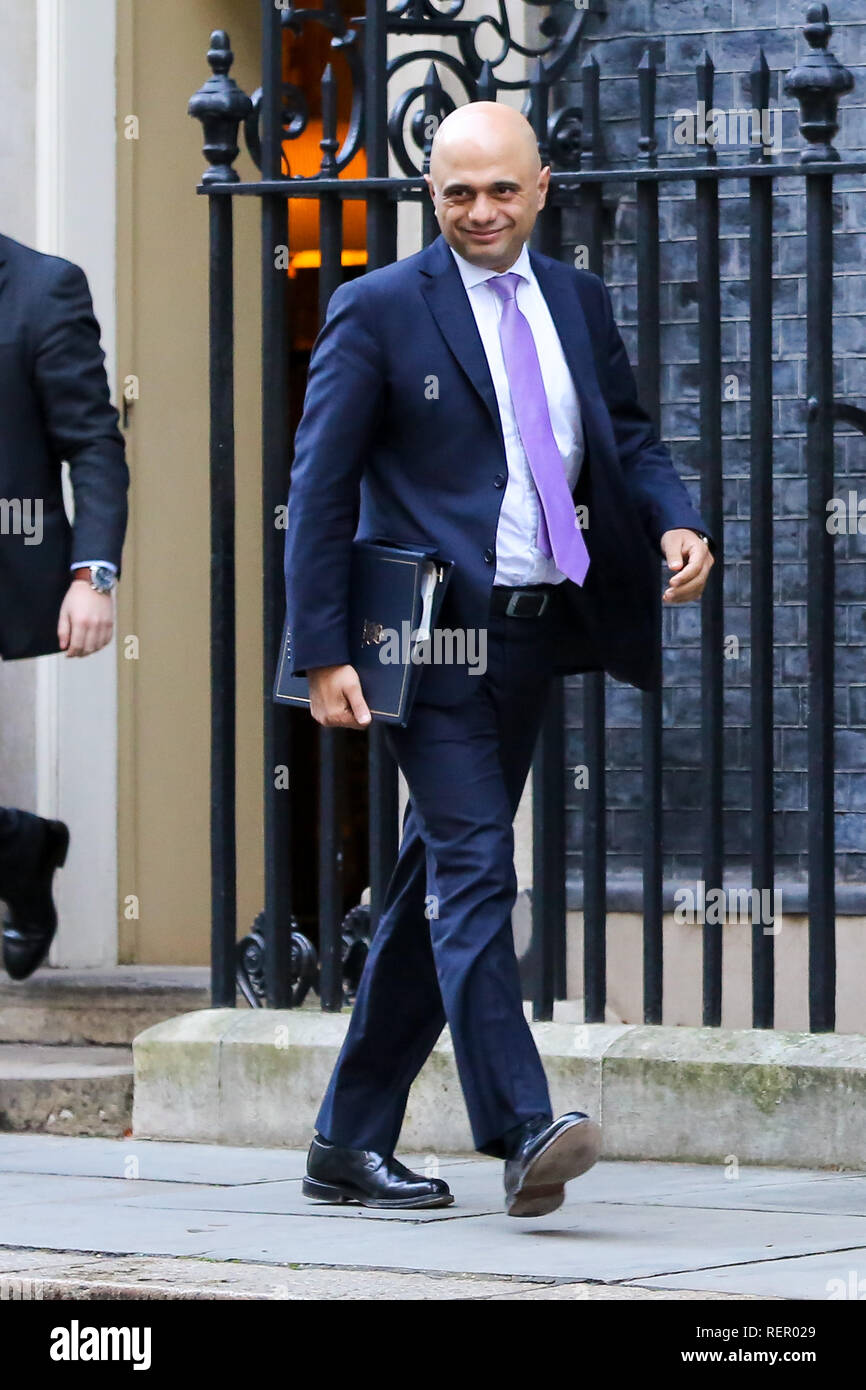 Sajid Javid - Home Secretary is seen departing from No 10 Downing ...