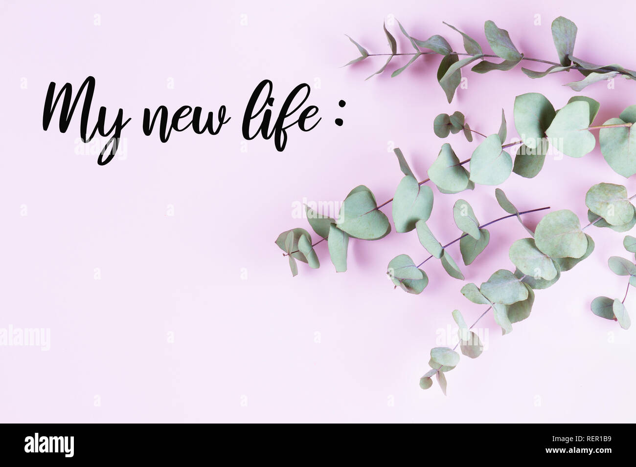 Green floral composition with my new life plans , silver eucalyptus on ...