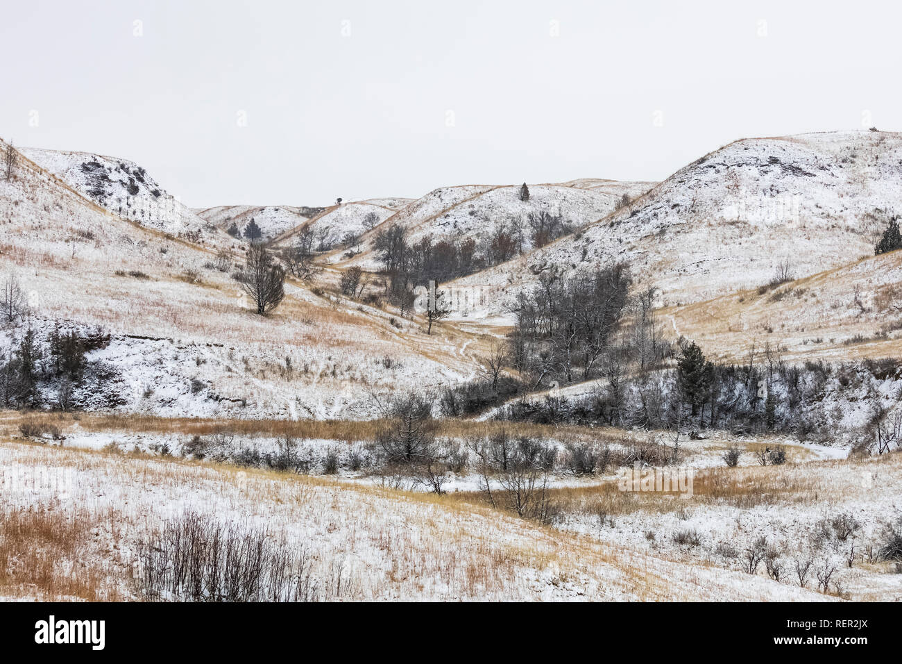 Winter landscape of snowy badlands and hills in Theodore Roosevelt ...