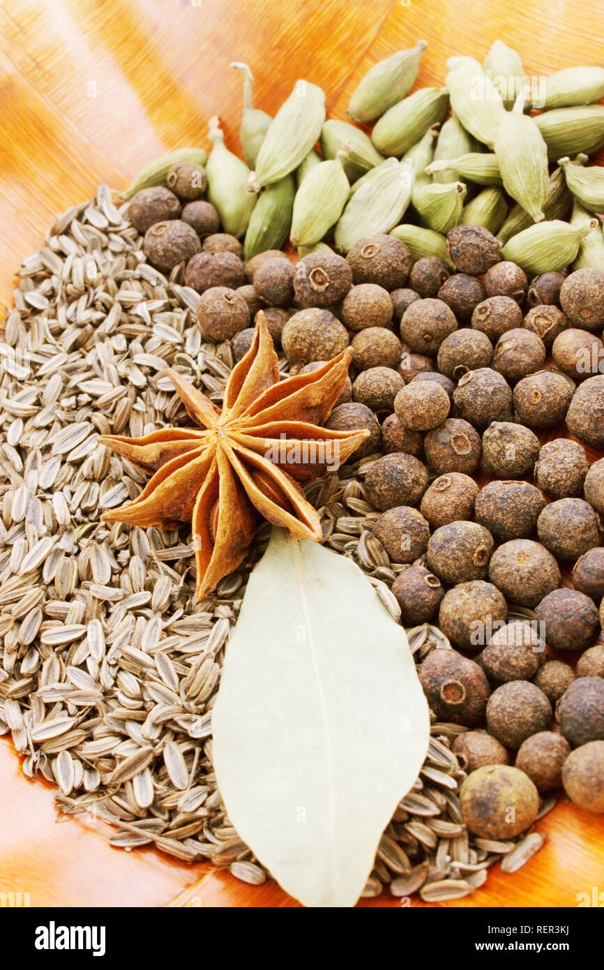 Indian cardamom tree hi-res stock photography and images - Alamy